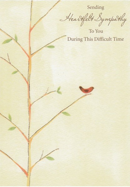 4169C | Northwest Greetings | Wholesale Greeting Card Company & Distributor